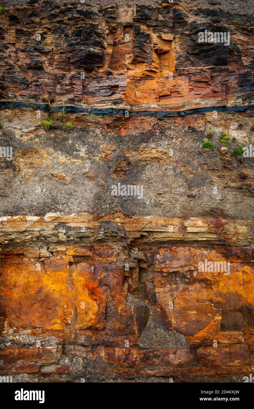 Thin coal seam over ganisterised sandstone/fireclay in an abandoned ...