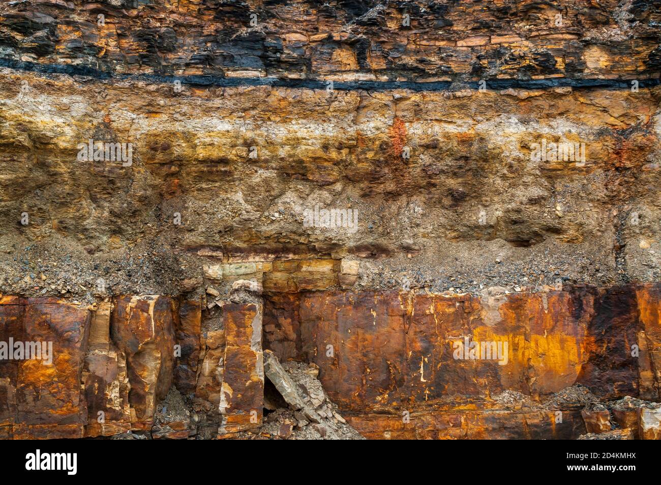 Thin coal seam over ganisterised sandstone/fireclay in an abandoned ...