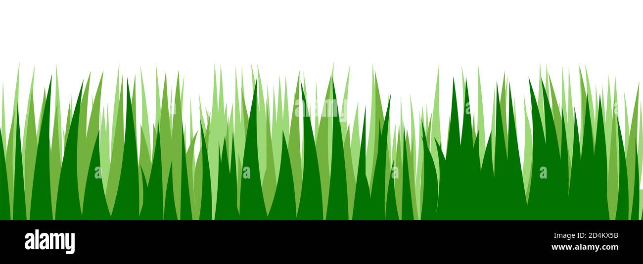 Grass. Vector. Juicy spring grass to frame the bottom. The horizontal ...
