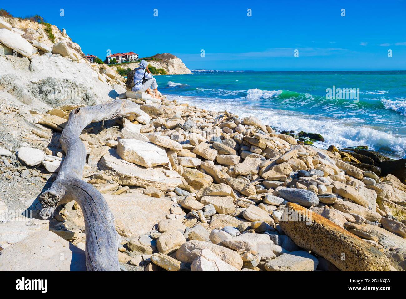 Large sea snake biting fish crawling among the rocks on the shore,Adora ...