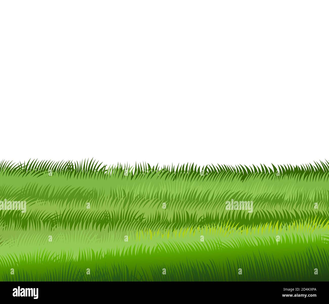 Green grass. Close-Up Vector. Isolated on a white background ...