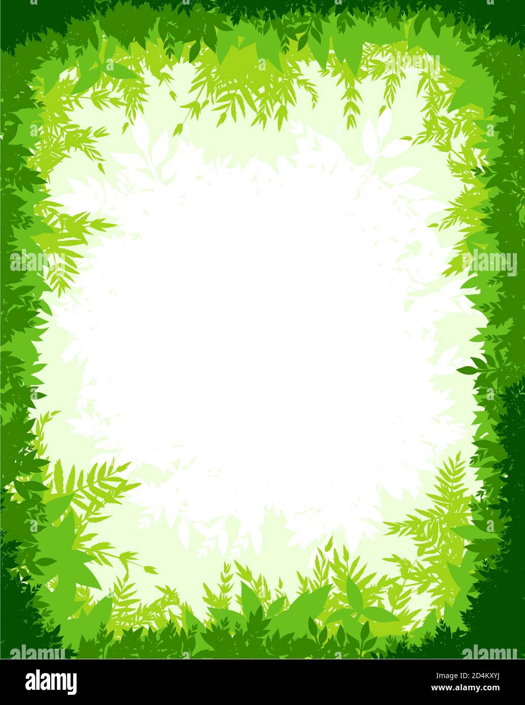 Tree Borders And Frames