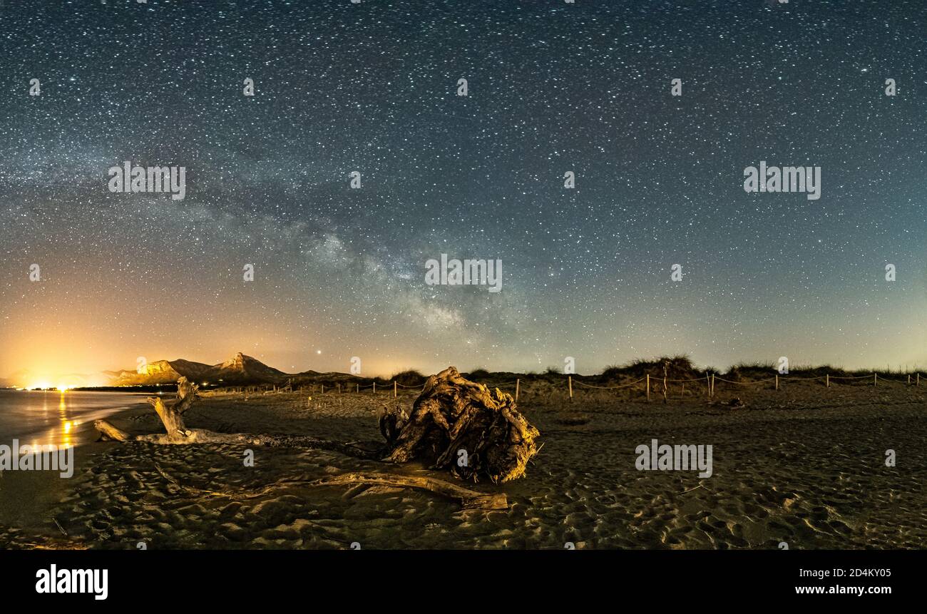 Old trunk stranded on the beach of Son Serra de Marina, a starry night ...