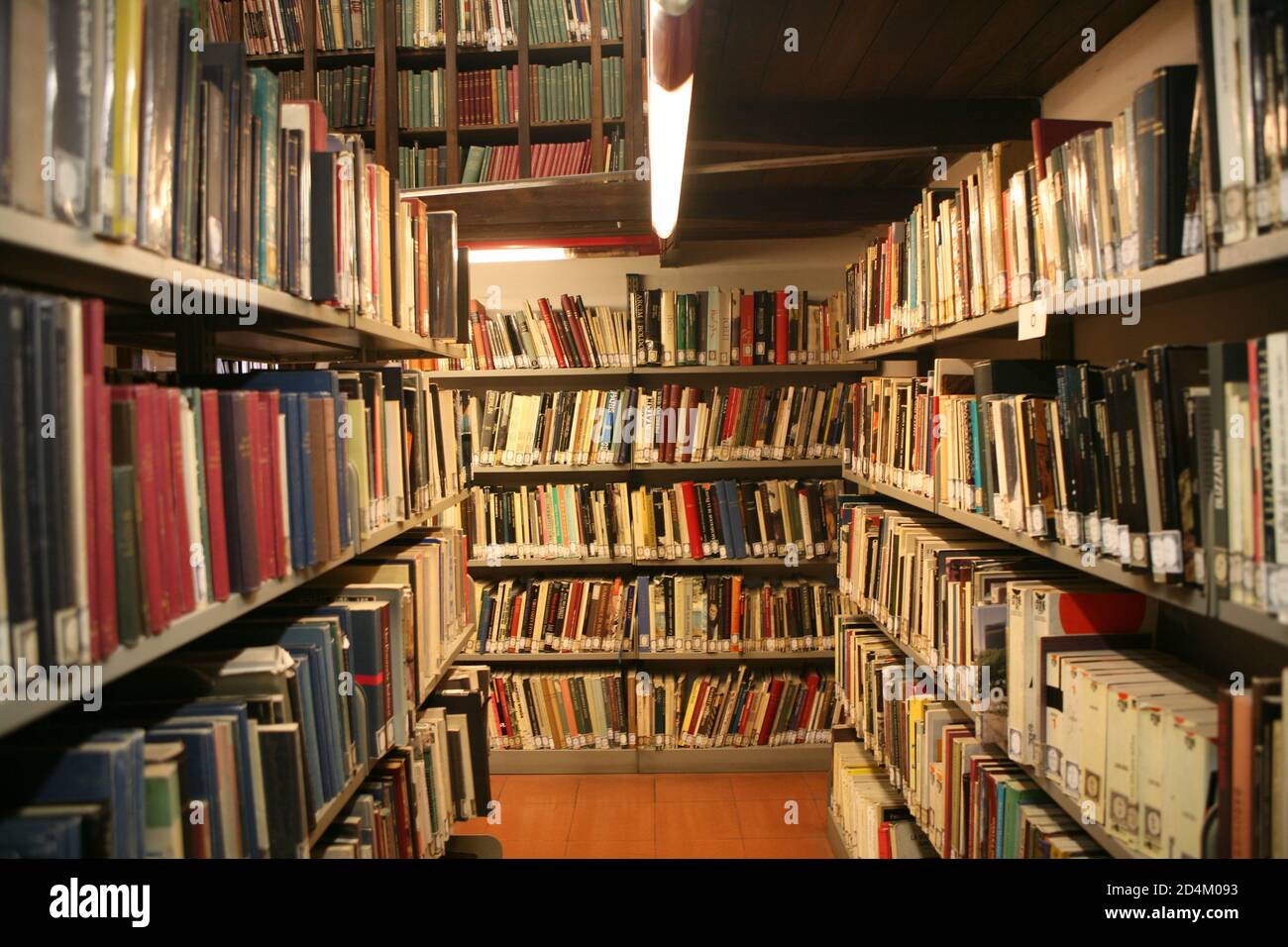 Books in the library Stock Photo - Alamy