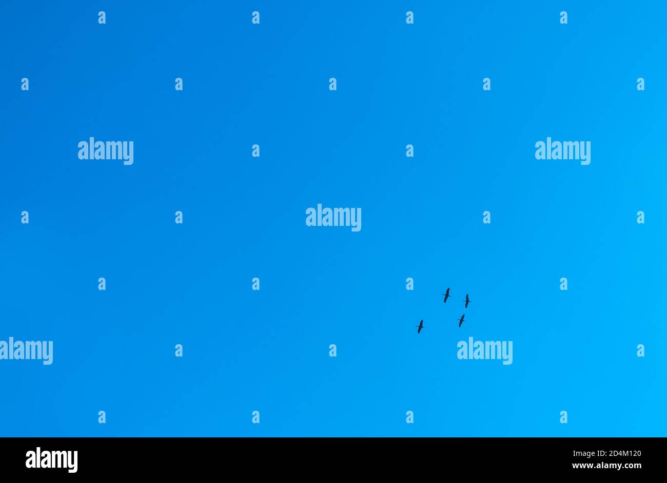 (shadoof) hi-res stock photography and images - Alamy