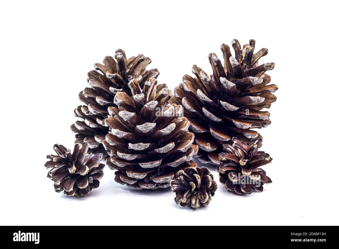 Form of cones hi-res stock photography and images - Alamy