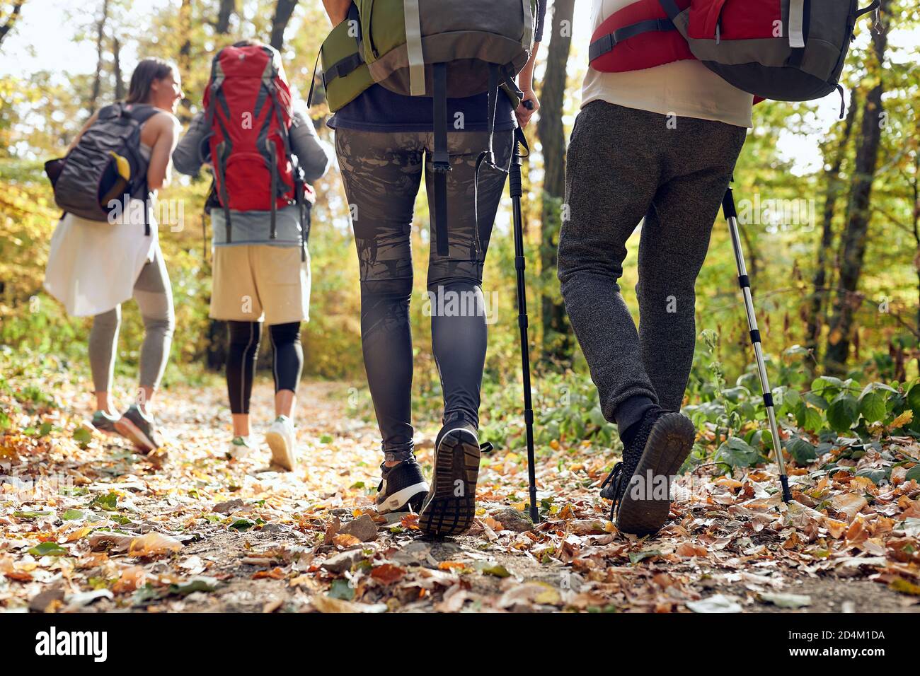 Walking through fallen leaves hi-res stock photography and images - Alamy