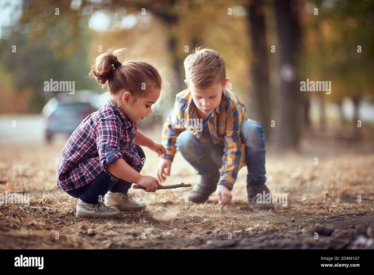 Playing together in forest hi-res stock photography and images - Alamy