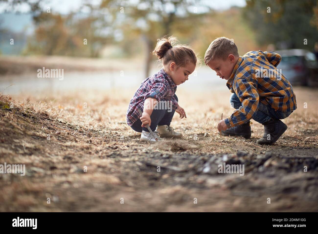 Young boy looking at bugs hi-res stock photography and images - Alamy