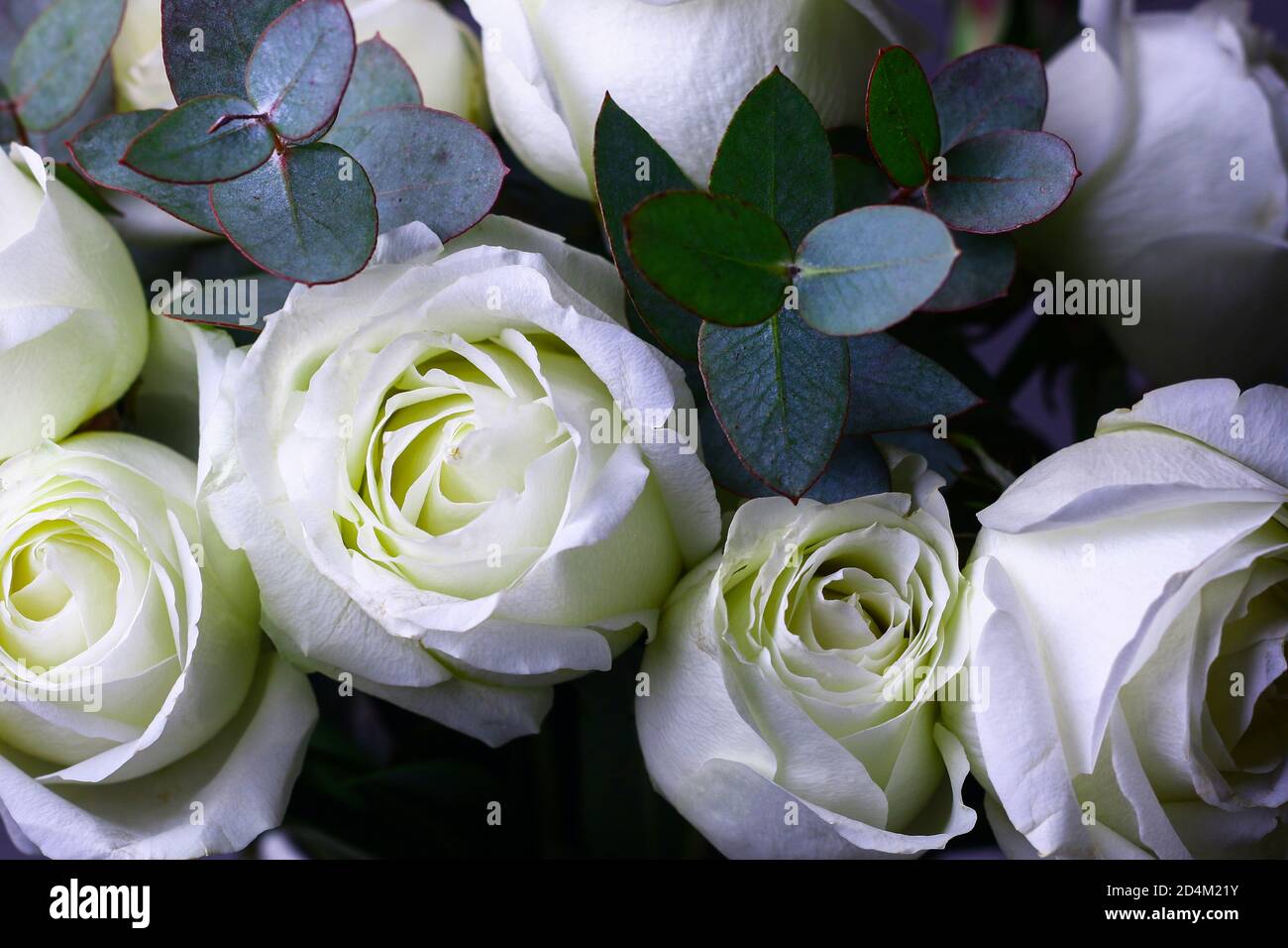 White roses bouquet background Stock Photo - Alamy