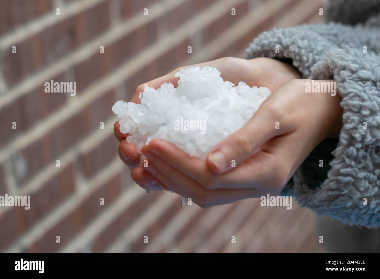 Young woman hands holding hailstones after a storm in front of a brick ...