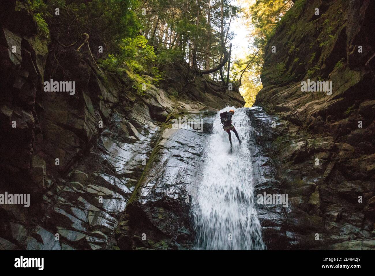 Cypress falls hi-res stock photography and images - Alamy