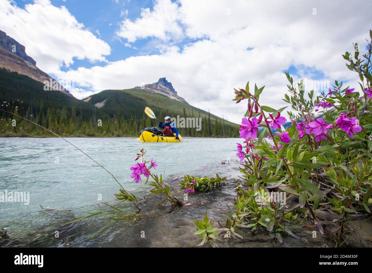 Man paddling kayak through Banff National Park during Spring Stock ...