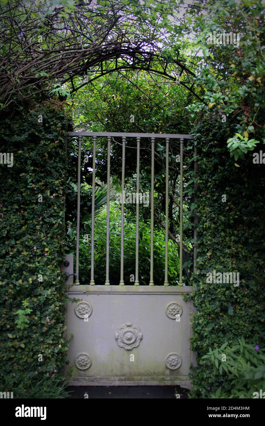 a white garden gate surrounded by green leafy vines Stock Photo - Alamy