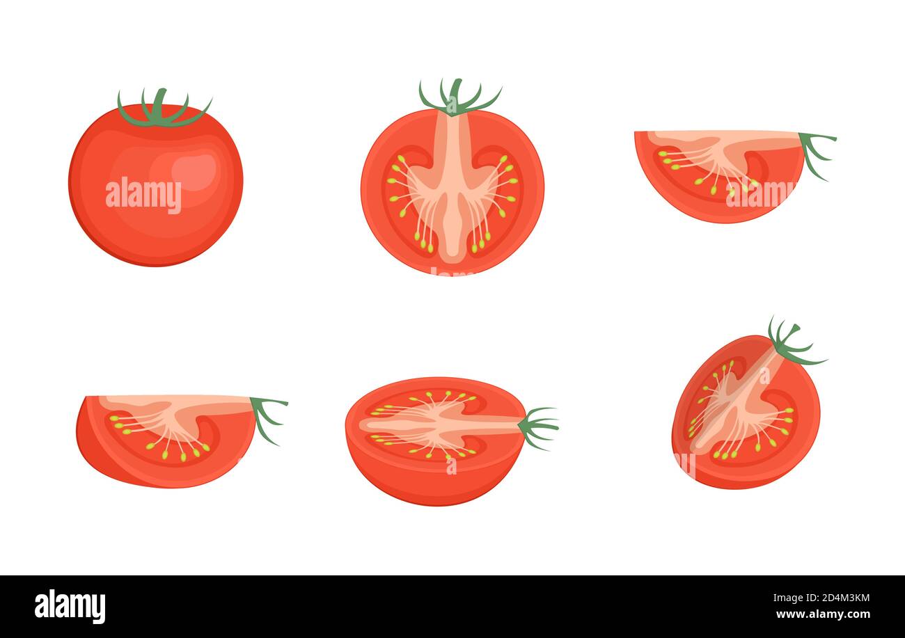 Set of chopped tomatoes isolated on white background. Tomato slices ...