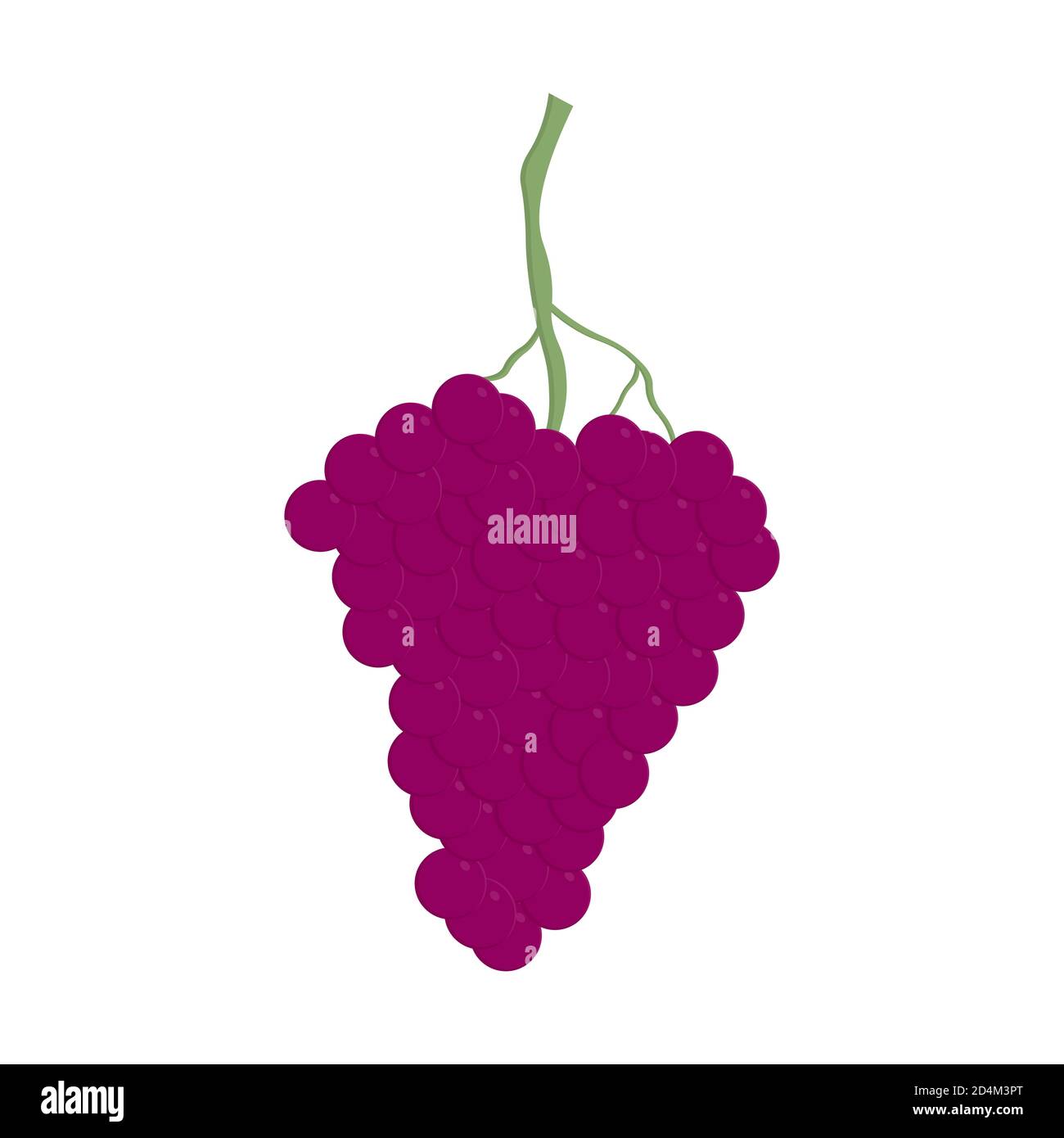 Fresh bunch of grapes purple icon on white background. vector ...