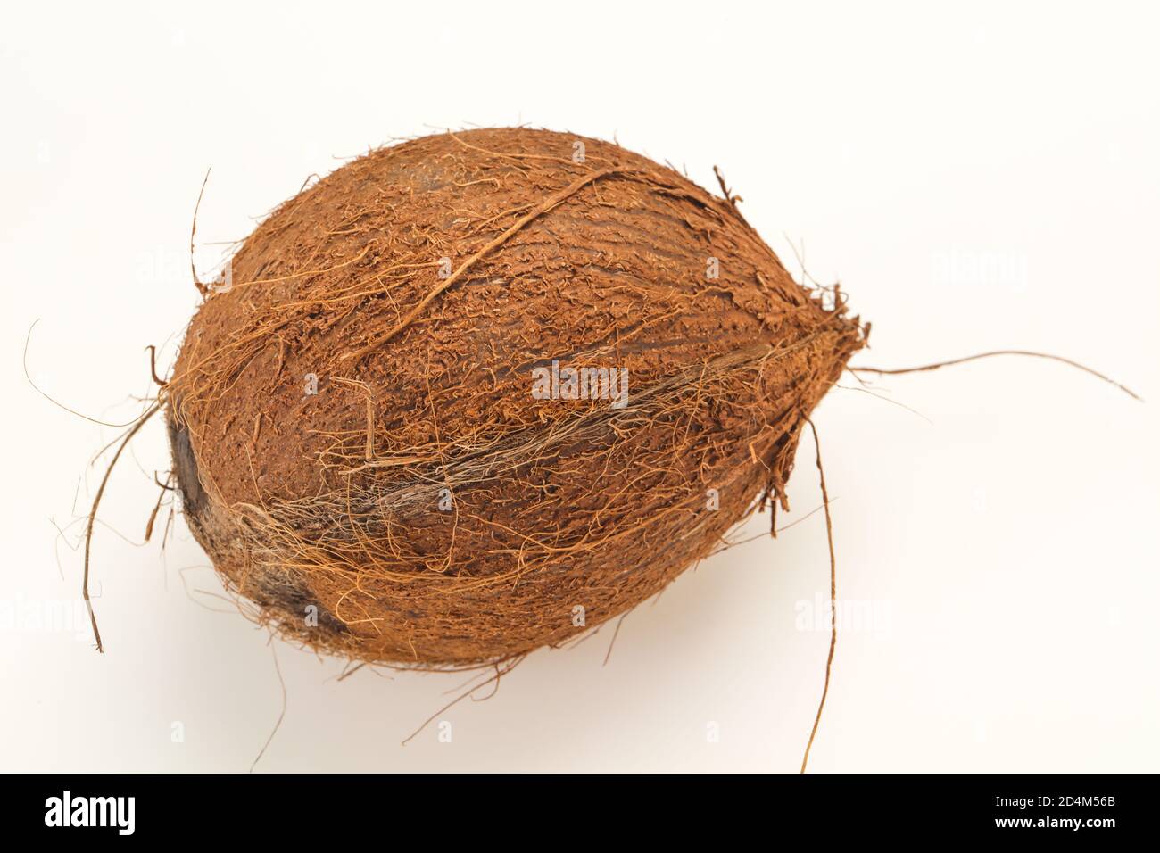 Ripe Coconut isolated on white background Stock Photo - Alamy