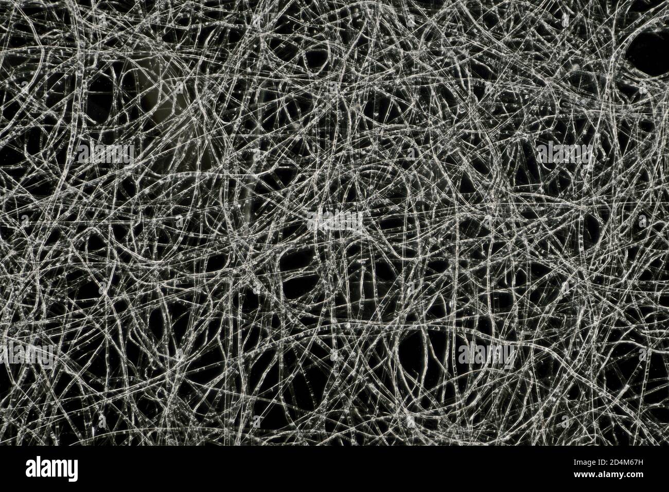 Micrograph paper hi-res stock photography and images - Alamy