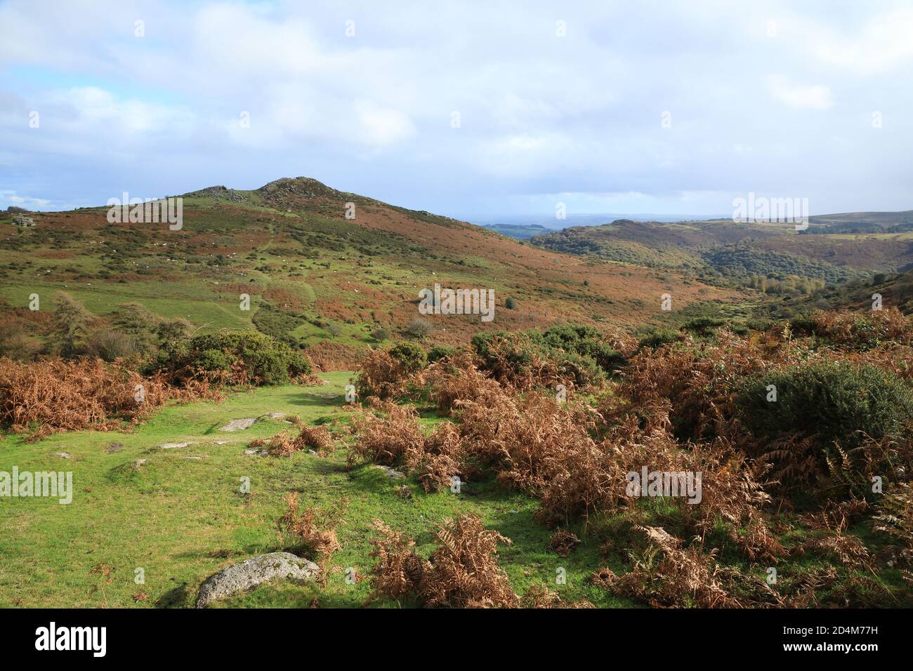Sharp tor, Dartmoor National Park, Devon, England, UK Stock Photo - Alamy