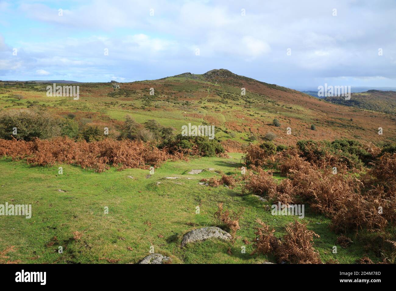 Sharp tor, Dartmoor National Park, Devon, England, UK Stock Photo - Alamy