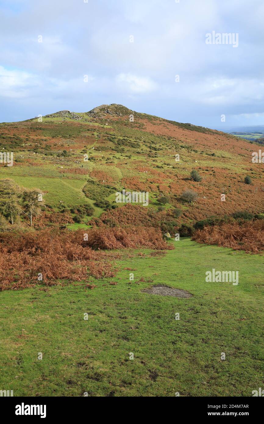 Sharp tor, Dartmoor National Park, Devon, England, UK Stock Photo - Alamy