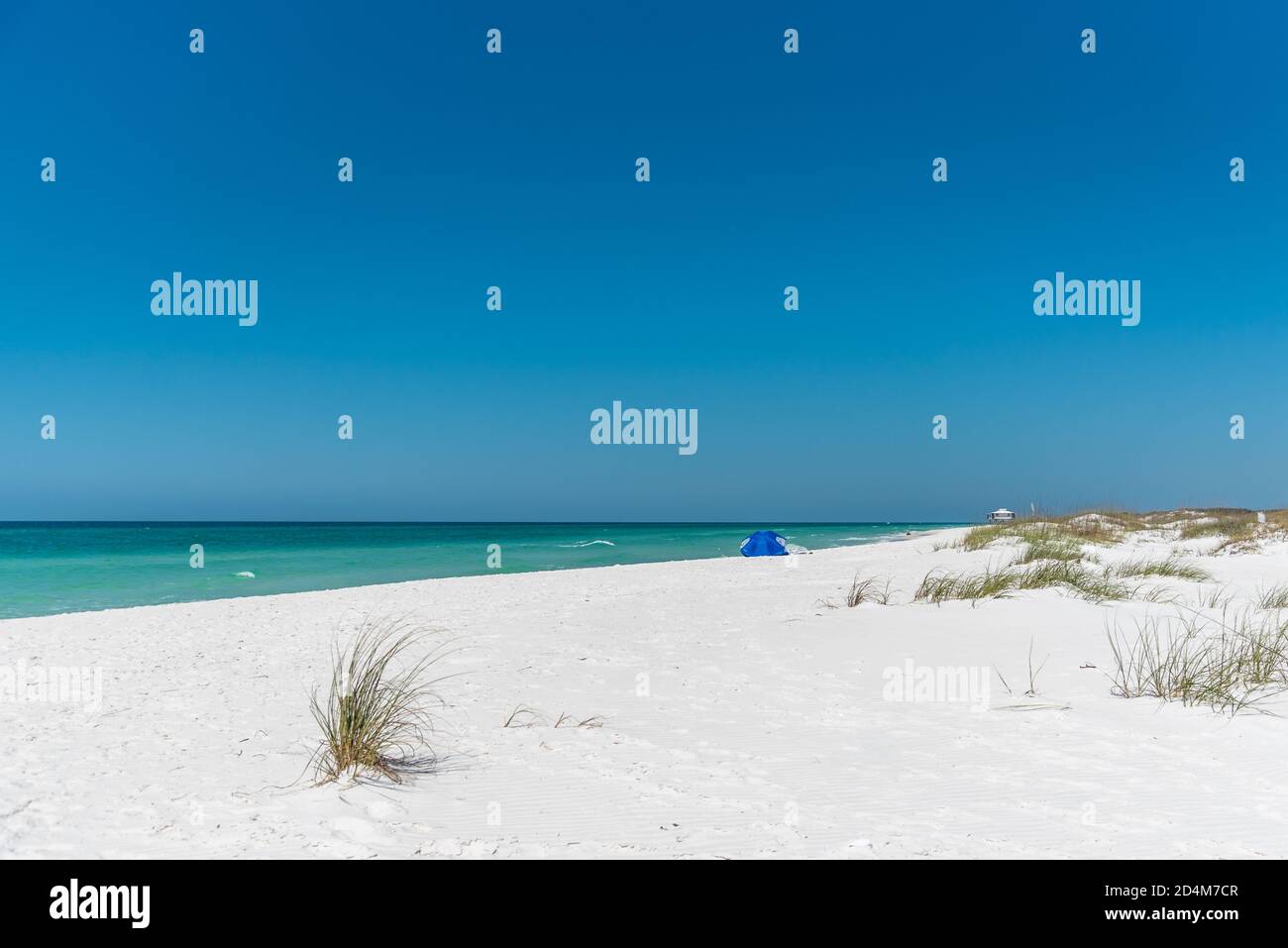 The dunes of Shell Island, Panama City Beach, Florida on a beautiful ...