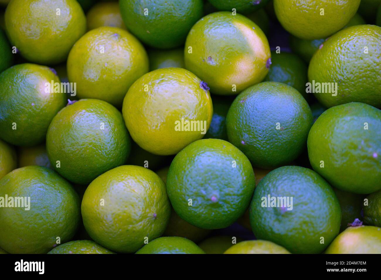 A pile of lime background. dark colored green lemons Stock Photo - Alamy