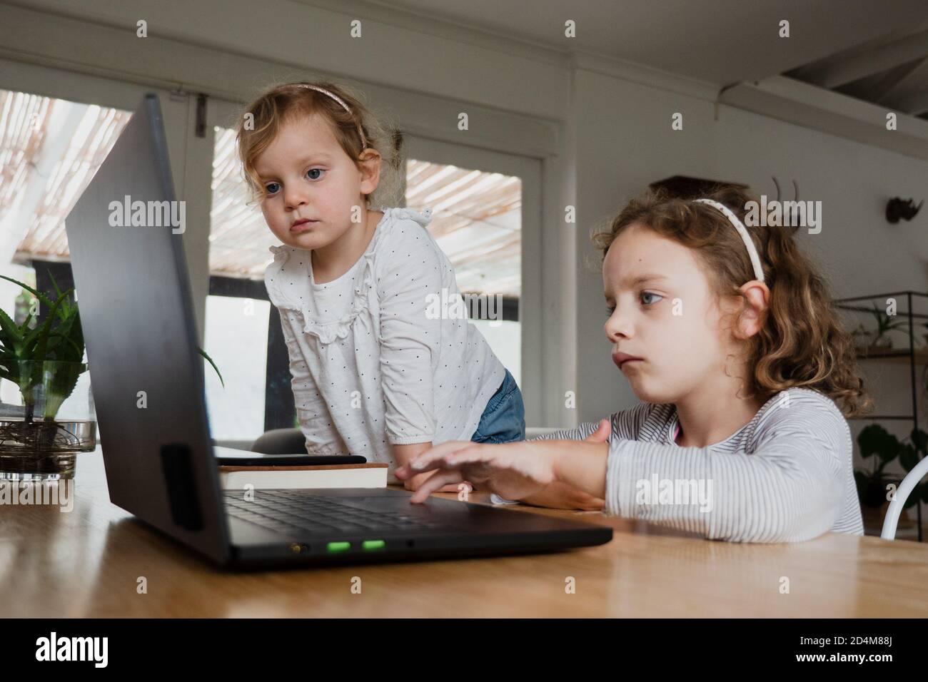 Young sisters on the computer together watching the screen Stock Photo ...