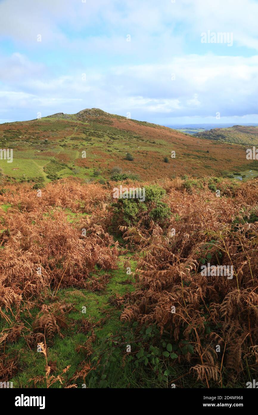 Sharp tor, Dartmoor National Park, Devon, England, UK Stock Photo - Alamy
