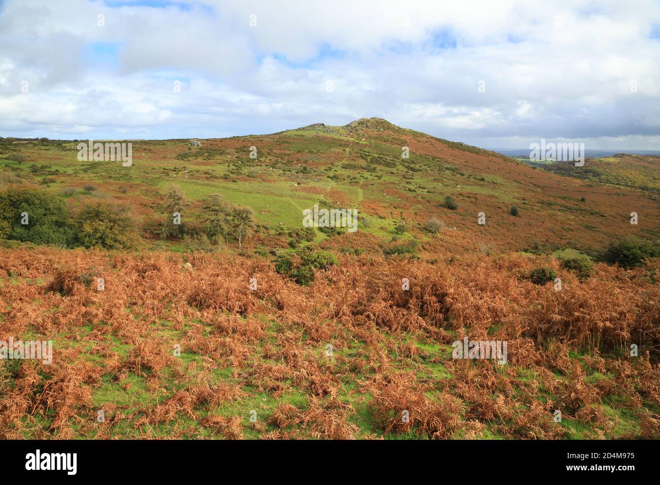 Sharp tor, Dartmoor National Park, Devon, England, UK Stock Photo - Alamy
