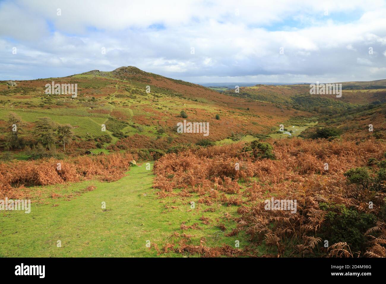 Sharp tor, Dartmoor National Park, Devon, England, UK Stock Photo - Alamy