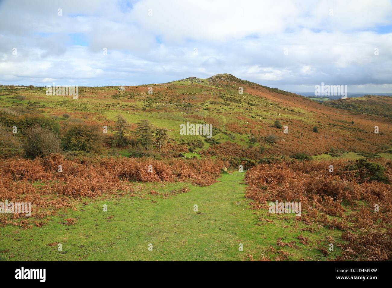 Sharp tor, Dartmoor National Park, Devon, England, UK Stock Photo - Alamy
