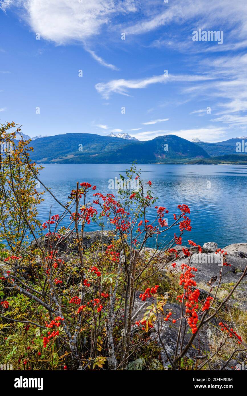 Upper arrow hi-res stock photography and images - Alamy