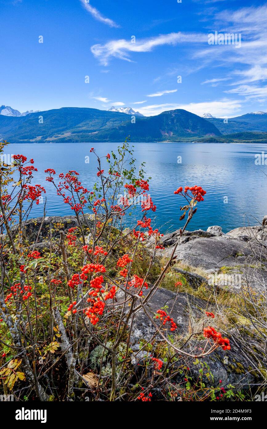 Upper arrow hi-res stock photography and images - Alamy