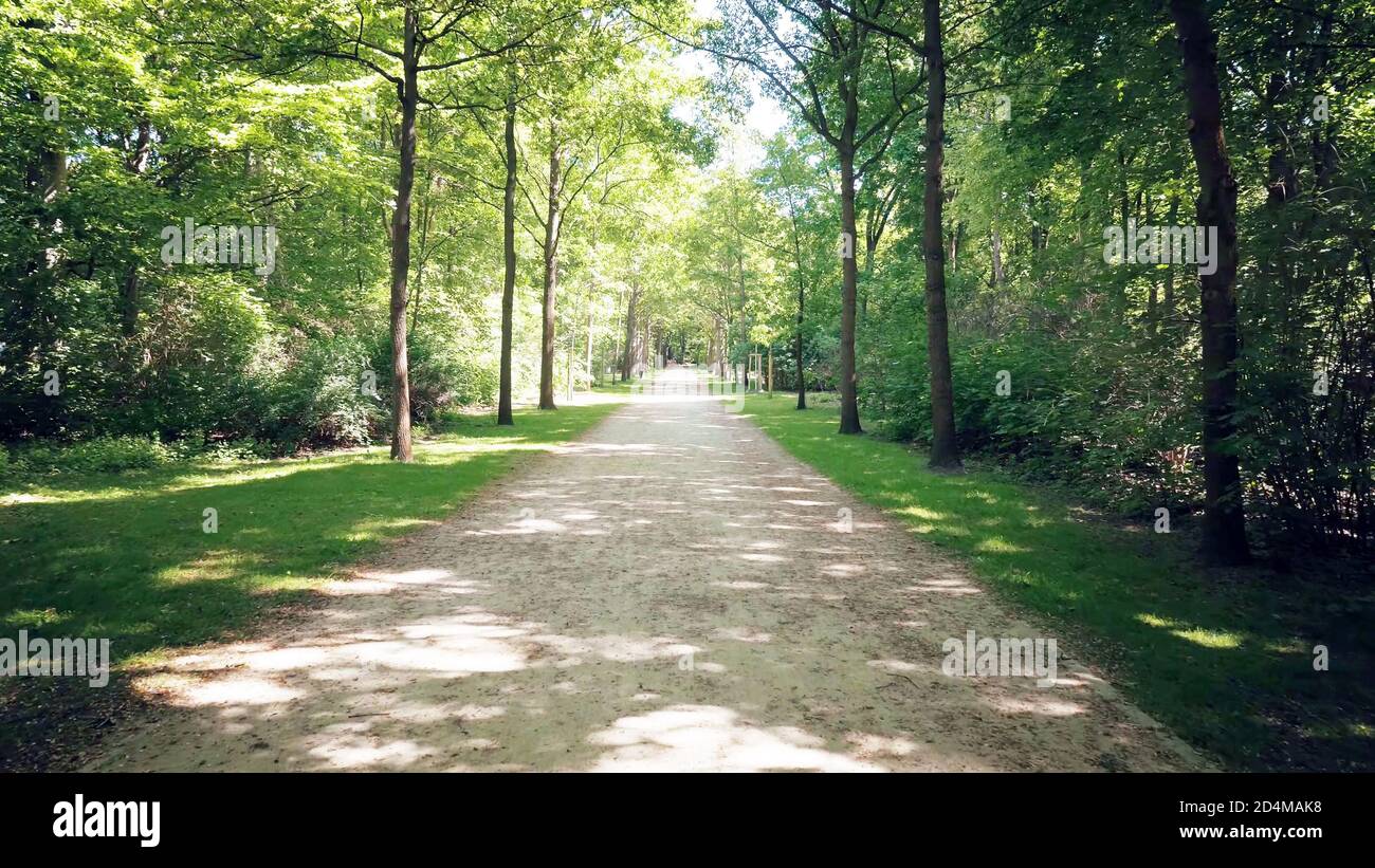Path between park trees hi-res stock photography and images - Alamy