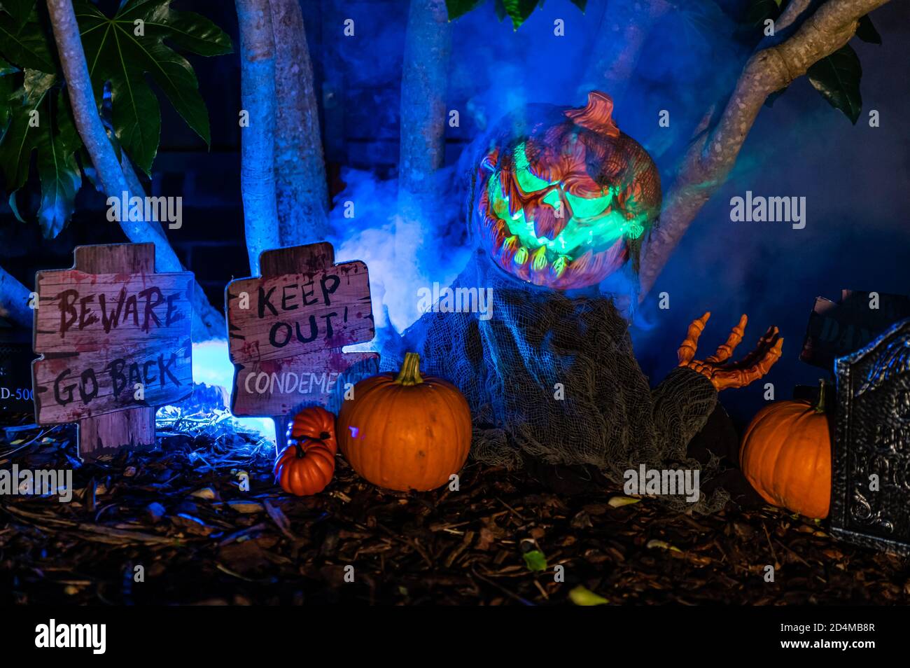 Haunted Halloween theme, Animated spooky pumpkin with smoke lights and ...