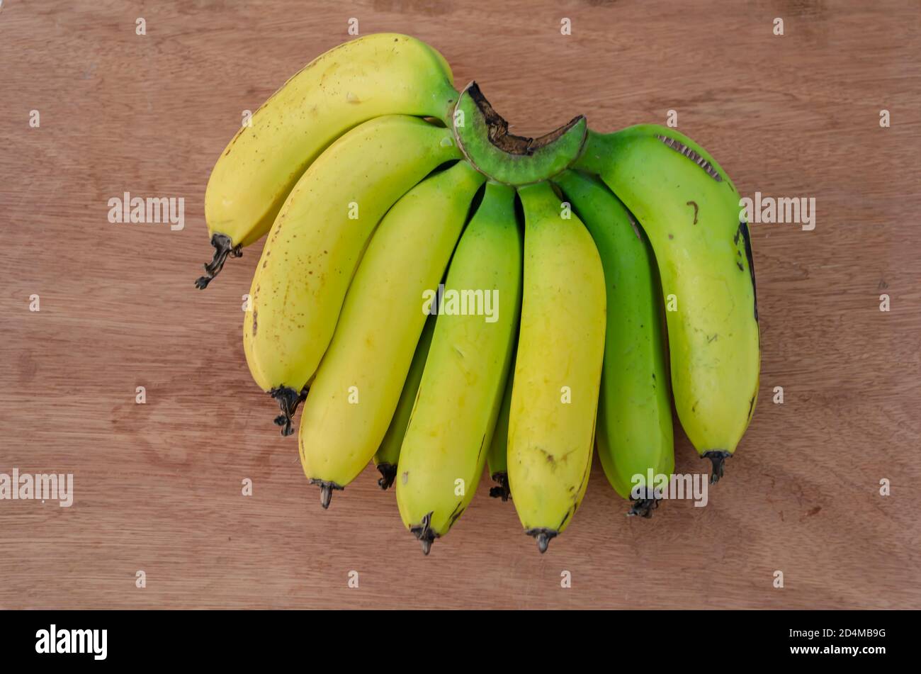 Yellow Ripe Lacatan Bananas Stock Photo - Alamy