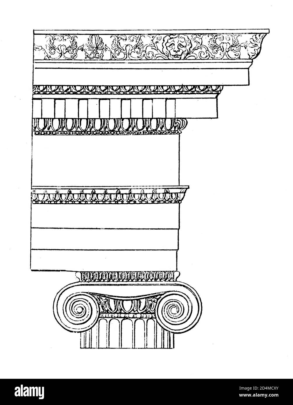 Antique 19th-century engraving of a capital from the Temple of Athena ...