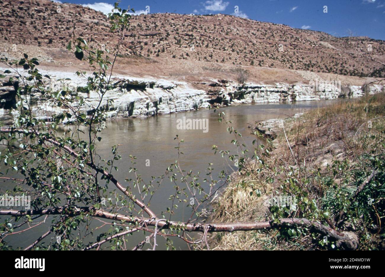 Acid and radium 226 leaks from tailings pond into the San Miguel River ...