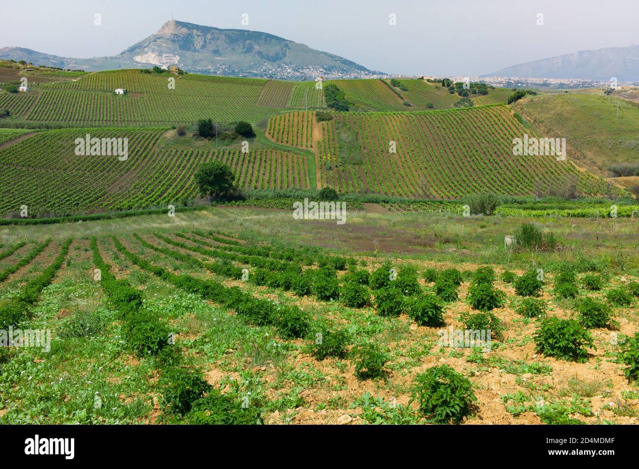 Balestrate hi-res stock photography and images - Alamy