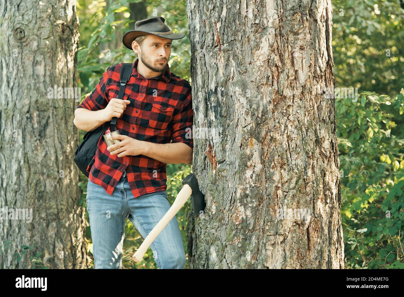 Deforestation look hi-res stock photography and images - Alamy