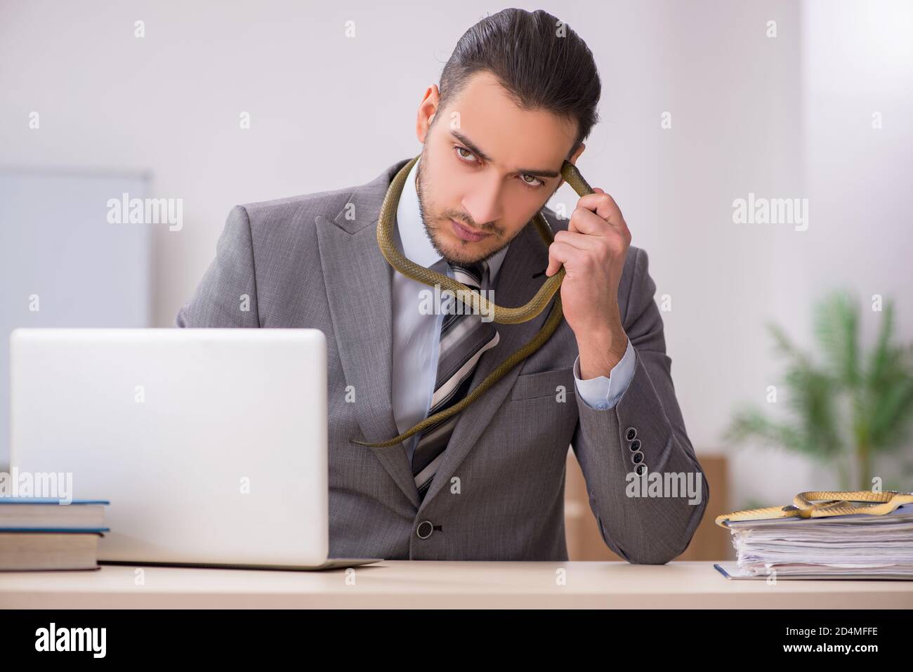 Male employee with snake in the office Stock Photo - Alamy