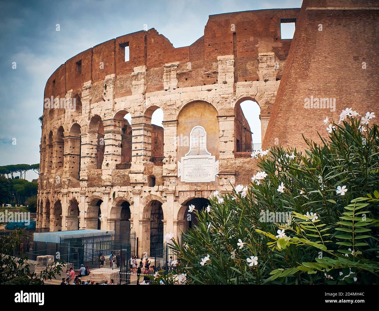 The Colosseum or Flavian Amphitheatre, Roman Forum, Rome, Italy Stock ...