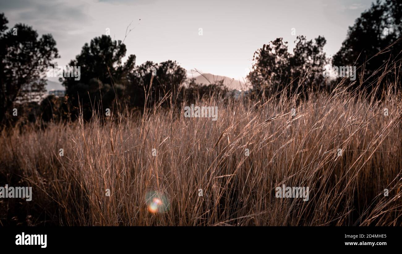 Nature landscape grass hi-res stock photography and images - Alamy