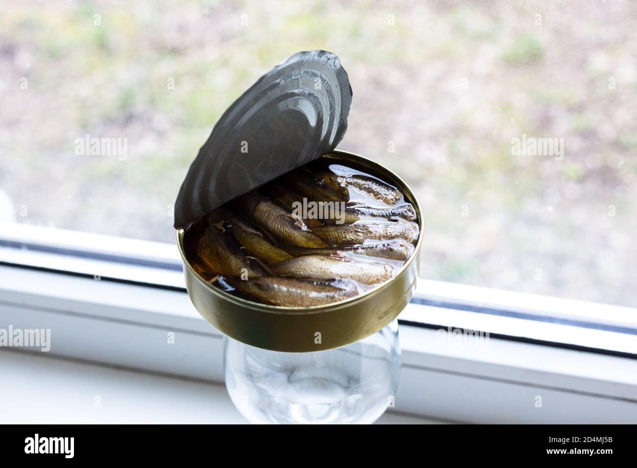 Opened tin of canned fish Stock Photo - Alamy