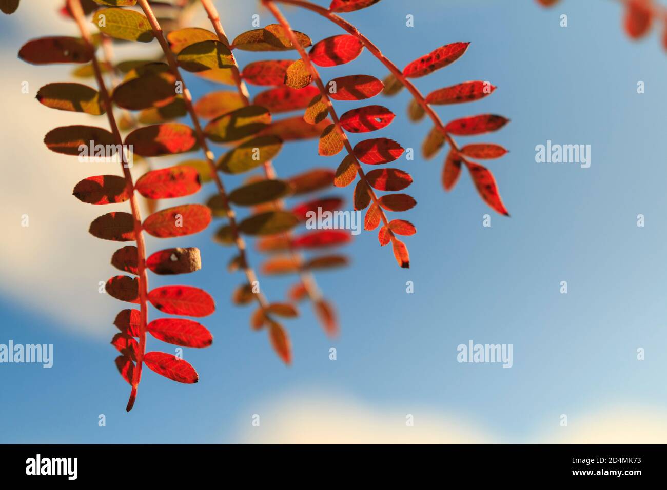 Autumn Things 2020 Stock Photo - Alamy