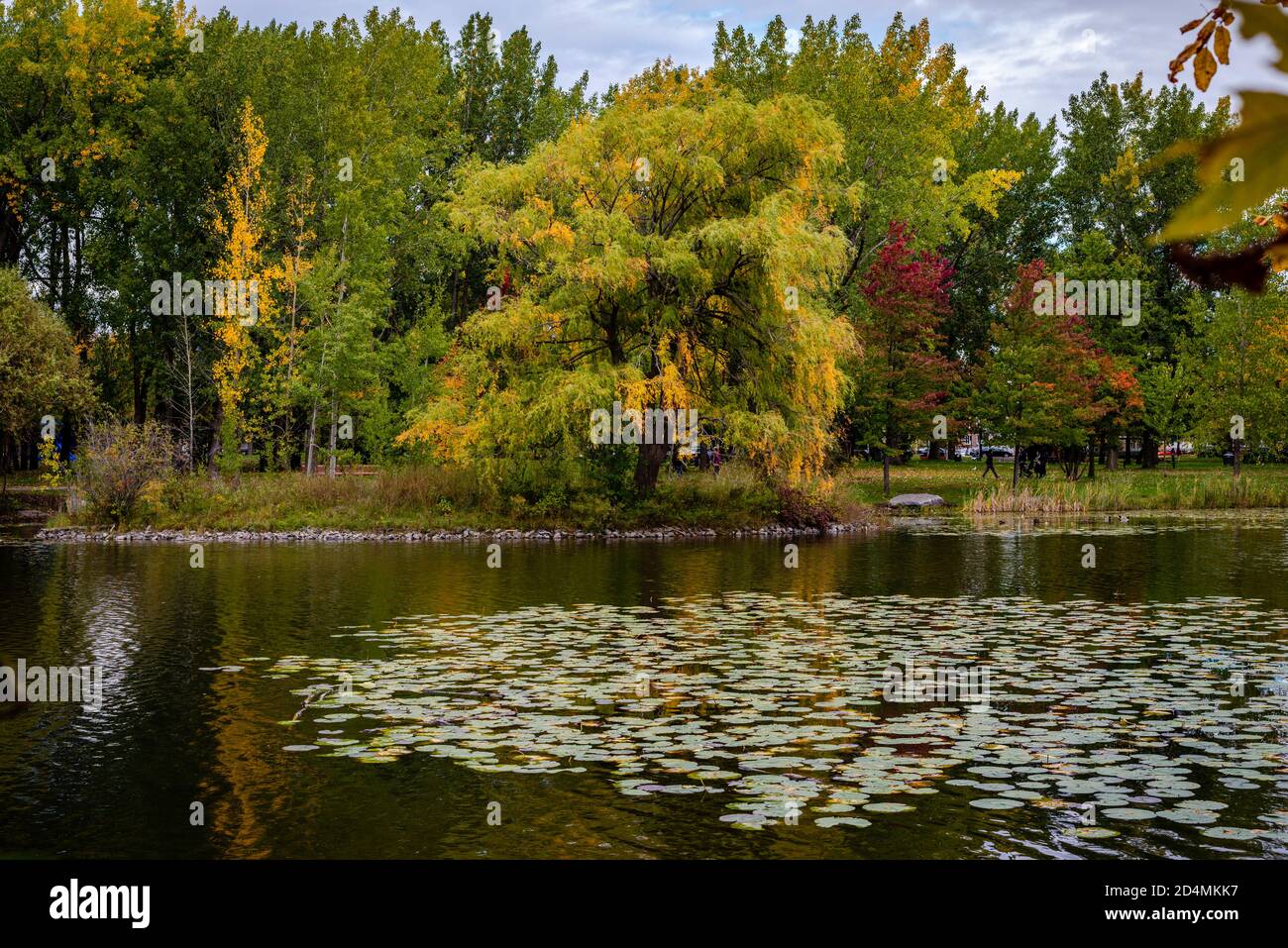 Autumn colors by the riverside Stock Photo - Alamy
