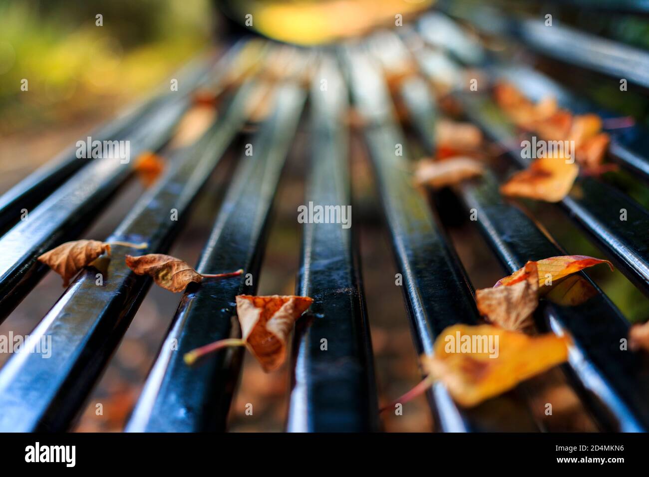 Autumn Things 2020 Stock Photo - Alamy