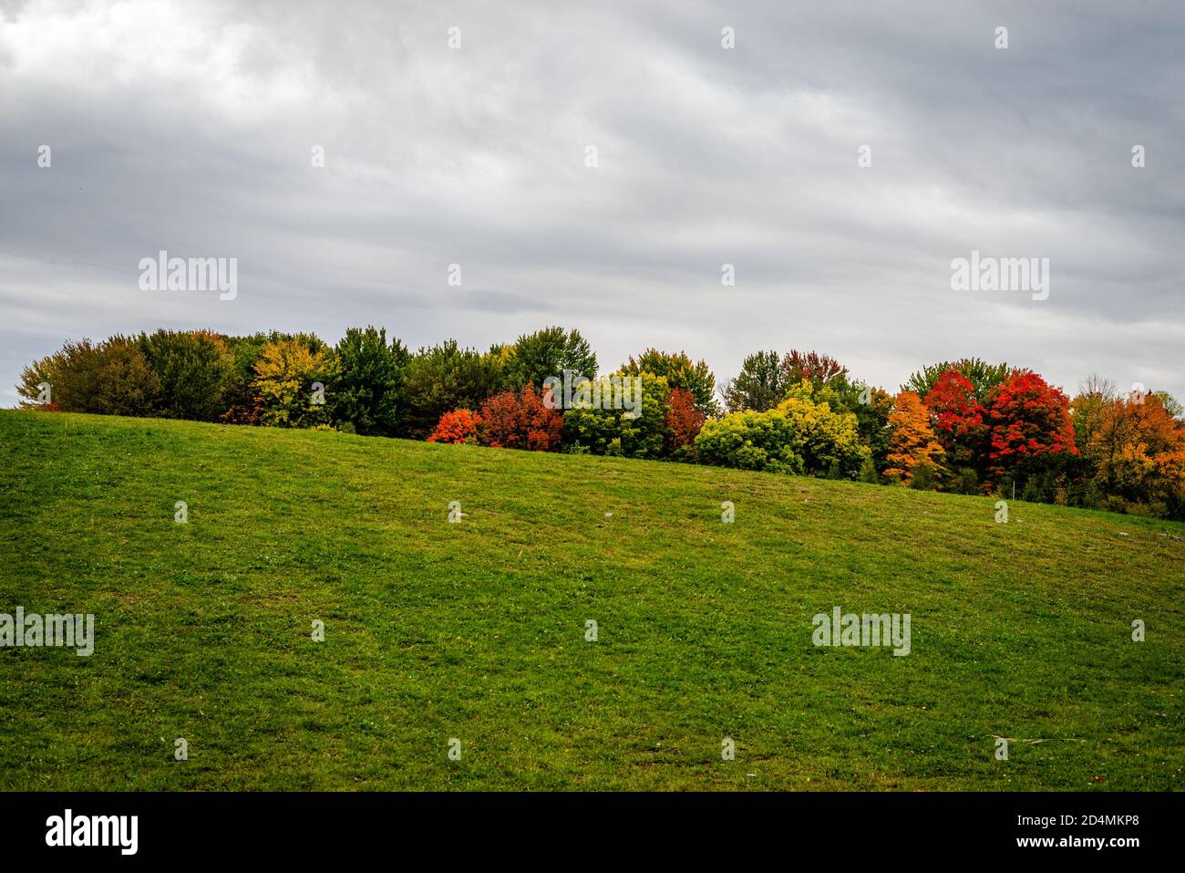 Autumn colors by the riverside Stock Photo - Alamy