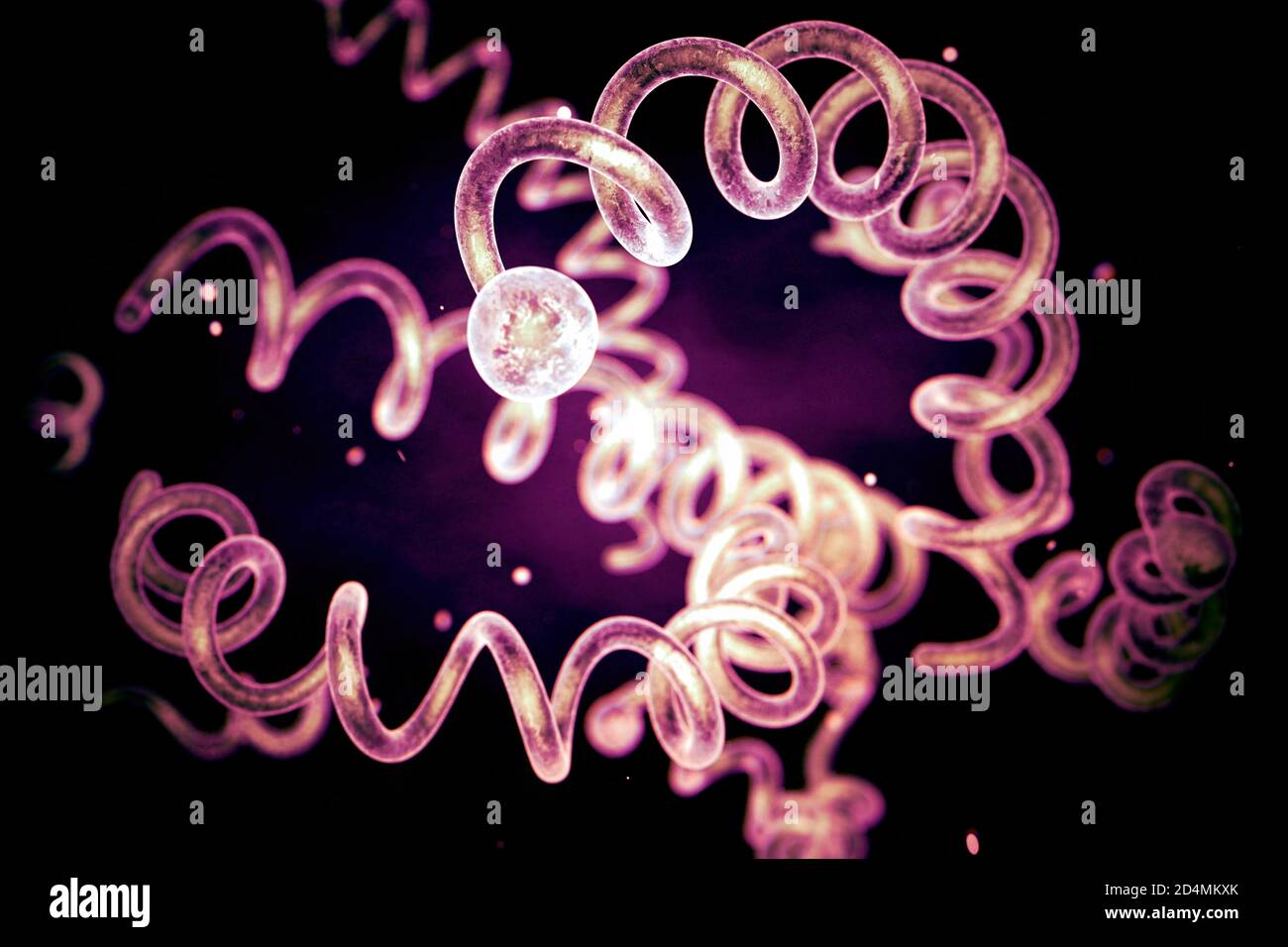 Syphilis spirochete hi-res stock photography and images - Alamy